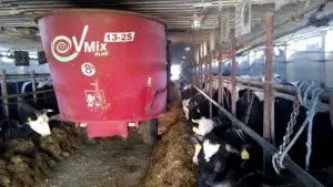 Variëteiten van feeders voor vee en regels voor hun gebruik op boerderijen
