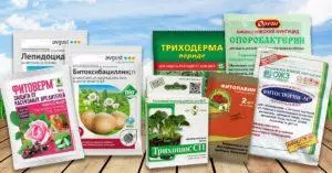 Typy biologických produktů a co se rozhodnout chránit rostliny z škůdců a nemocí
