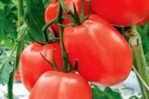 Beschrijving van de verscheidenheid aan tomaten Dinar, aanbevelingen voor het groeien en oogsten