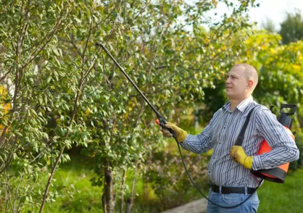 Appelbomen spuiten