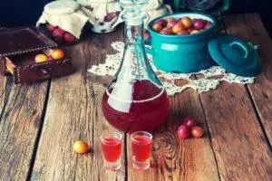 Top 13 ricette passo-passo per la preparazione del vino da Plum a casa