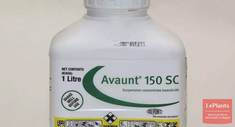Avant Insecticid