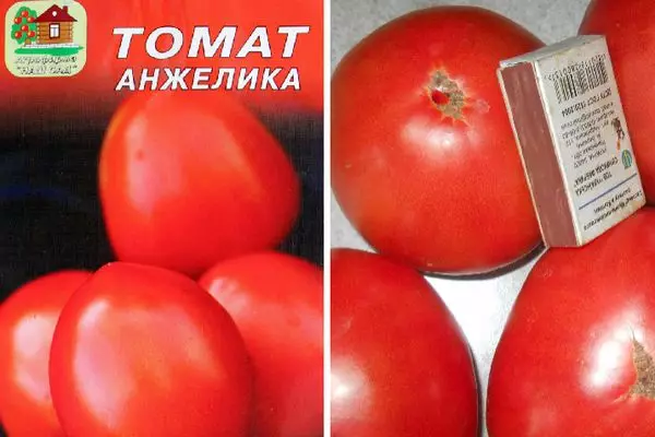 Pomidor urug'lari