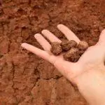 Pulite na loam: ọdịiche na ihe dị iche, nke ala ị họọrọ 392_6