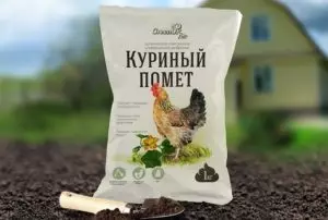 Как да хранят краставици пилешки отпадъци в оранжерията и отворена почва