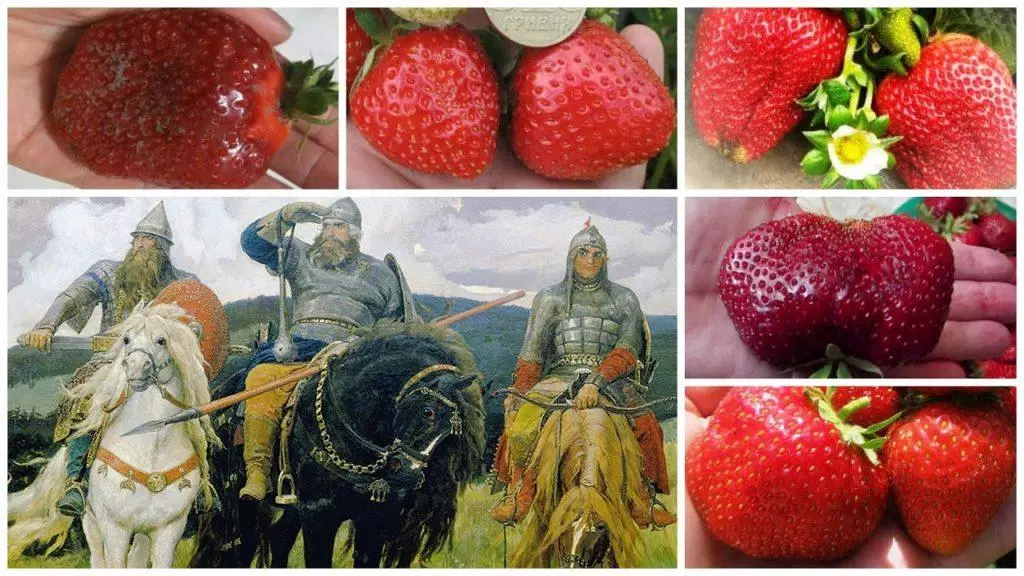Meilleurs fraises pour 2021