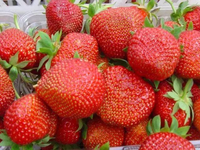 Bêste aardbeien foar 2021