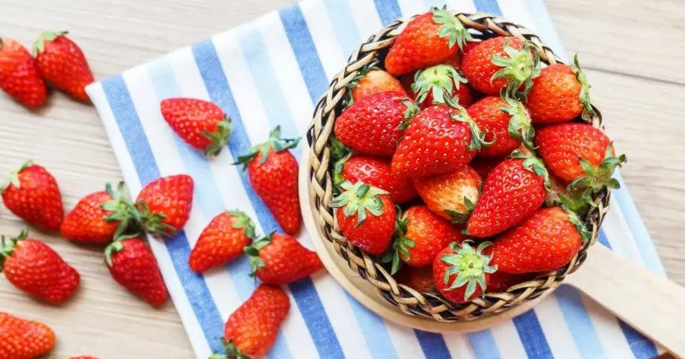 Beste Erdbeeren für 2021