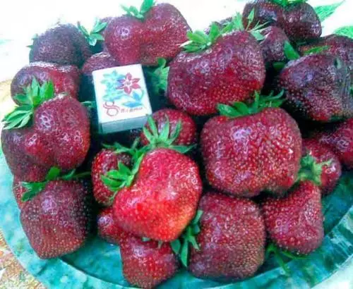 Beste jordbær for 2021