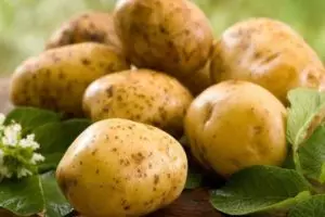 Beschreiwung vun der Kartoffel Zerour de Grad, seng charakteristesch an nozeginn