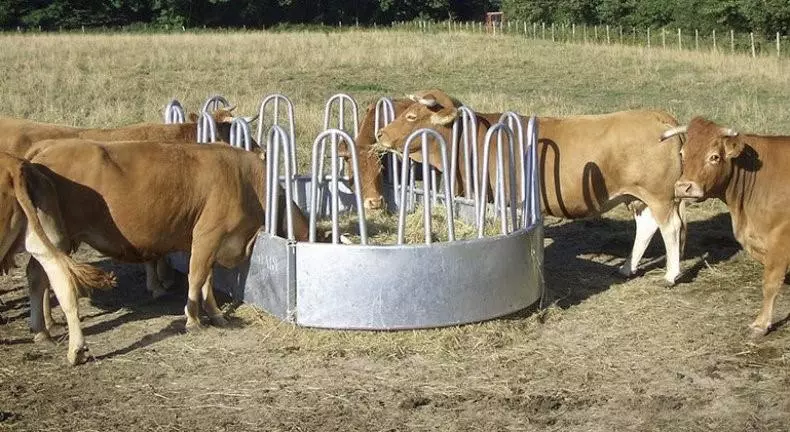 Захранващо устройство за говеда