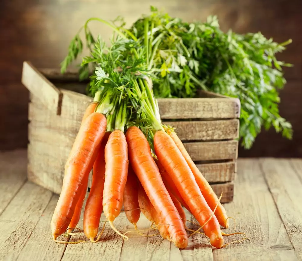 Пералік лепшых гатункаў морквы на 2021