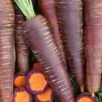 بهترین انواع هویج برای سال 2021: فهرست و نحوه انتخاب، pluses و coms 4074_14