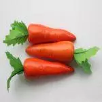 Най-добър моркови сортове за 2021: Списък и как да изберете, плюсове и минуси 4074_17