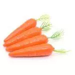 Най-добър моркови сортове за 2021: Списък и как да изберете, плюсове и минуси 4074_18