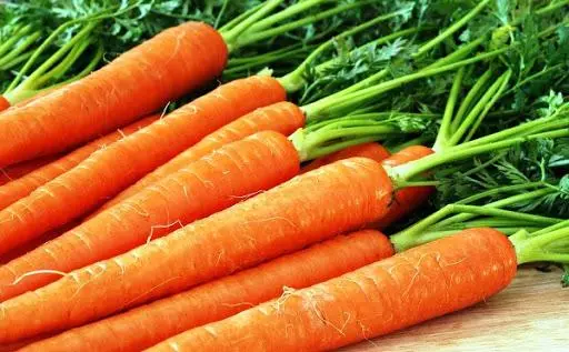 Списък на най-добрите сортове моркови за 2021 година