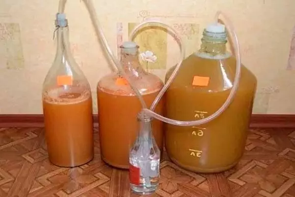 Verë në fermentim