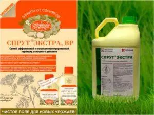 Método e instrução sobre o uso do herbicida de ação contínua Sprut extra