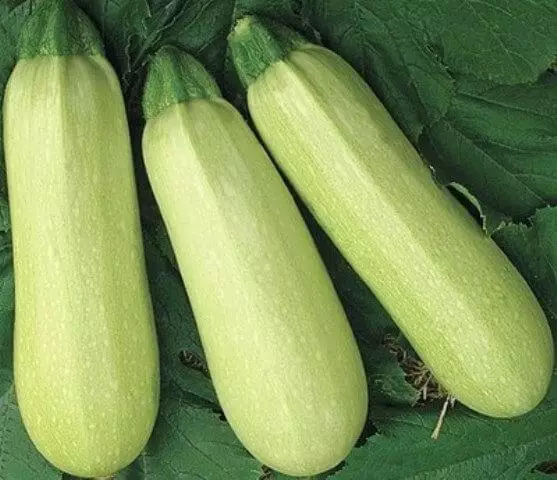 Kilasy zucchini tsara indrindra ho an'ny 2021