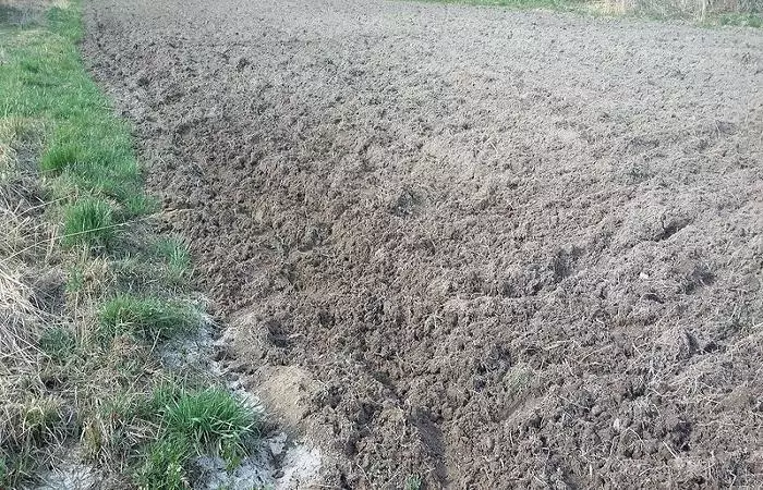 Почва Огород
