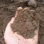 Lemah Surgems: Karakteristik lan konten humus, ing endi vegetasi umum 4194_6