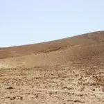 כירורגים אדמה: מאפיינים ותוכן של חומוס, שם צמחייה נפוצים 4194_7