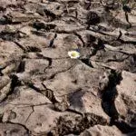 Erozija tla: što su uzroci nastanka, mjere za sprječavanje, posljedice 4208_10
