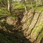 Soil erosion: what is the causes of the emergence, measures to prevent, consequences 4208_11