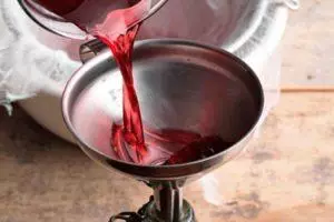 6 Paprasti vyno virimo receptai iš rabarbarų namuose