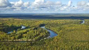 5 tipos predominantes de solos de planícies e vegetação do West Siberian