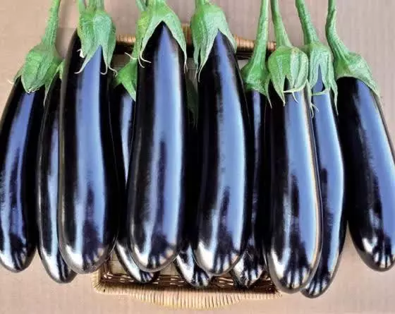 Eggplant favorit.