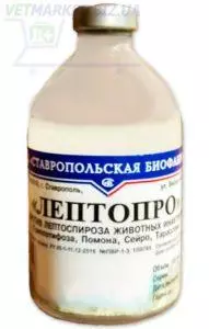 Leptospirosis CRS، Dosage سے ویکسین کے استعمال اور خصوصیات کے لئے ہدایات