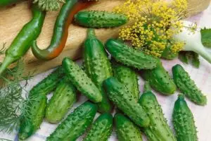 Beschrijving van de graad van komkommer kadril, eigenaardigheden van teelt en zorg