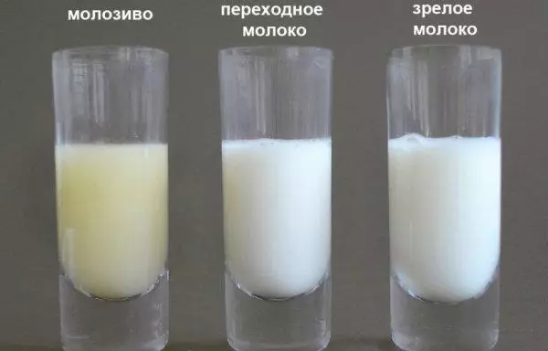 Διάφορα γάλα