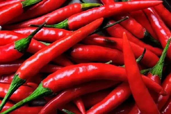 Red Pepper