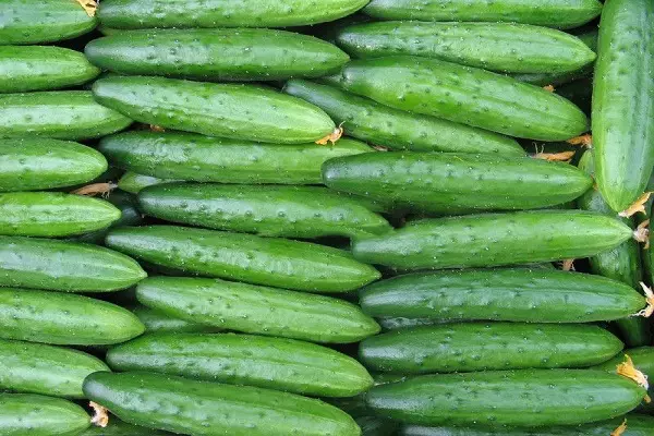 Doimhneacht na cucumbers