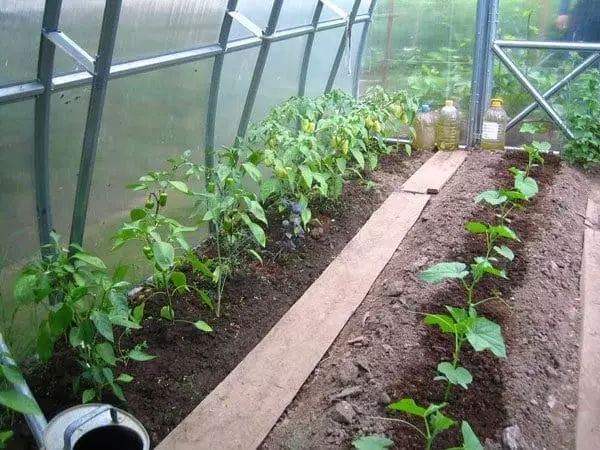 Separate greenhouse