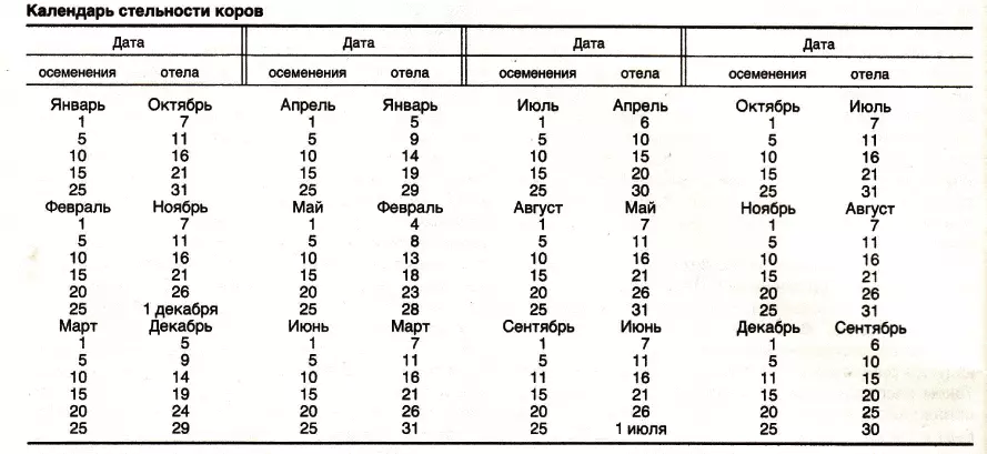 Inka zitwita za kalendari