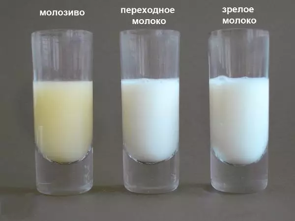 Diverse lapte
