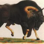 O maior touro do mundo: o peso máximo e maior raza 4493_9