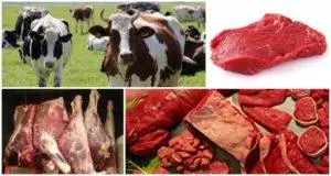 Izhodna tabela na povprečni čisti masi govejega mesa iz žive teže