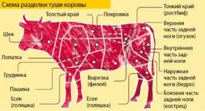 A testrészek tehén és a hasított vágási diagram neve, hús tárolása