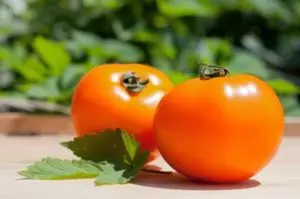 Karakterističan i opis stupnja rajčice persimme, njegov prinos