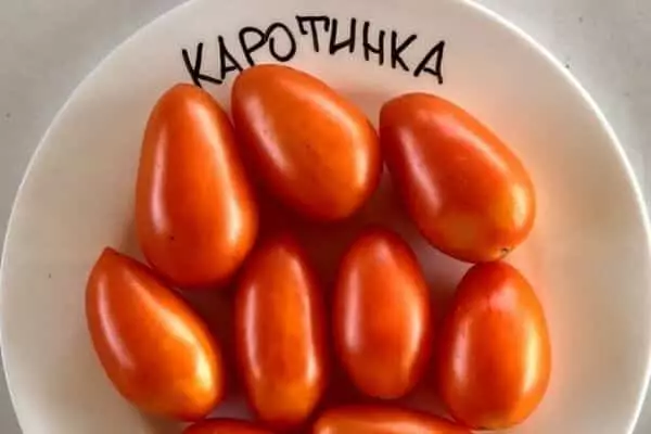 Tomato Cotothinka