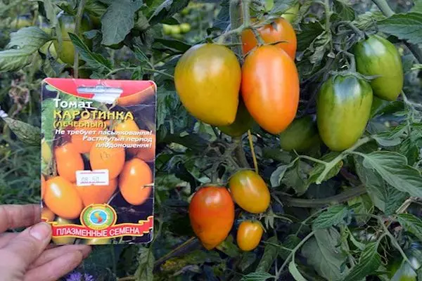 Descrierea tomatei de roșii de roșii, în creștere și îngrijire