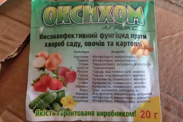 Oxychik rau cucumbers