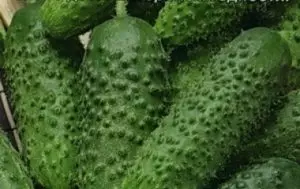 Beskriuwing fan 'e klasse komkommers dy't har karakteristyk en kultivearjen hat