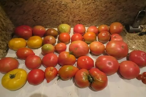 Приложения на домати
