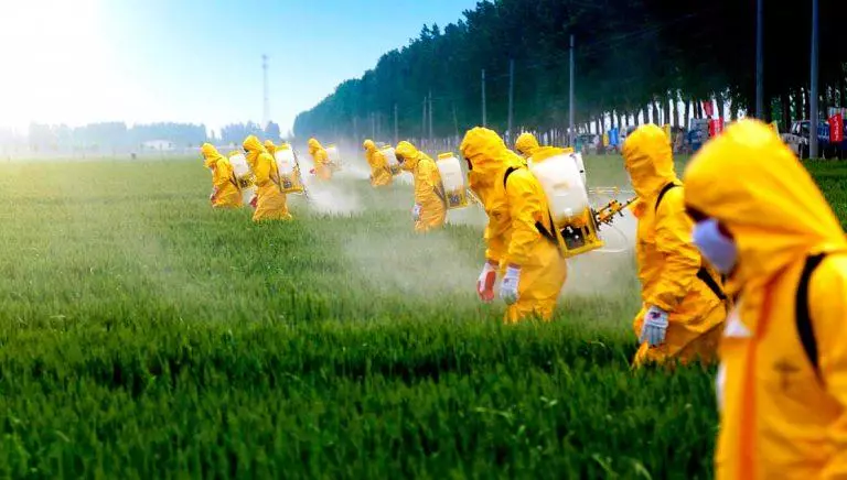 Spraying Field.