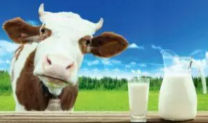Rumus kimia susu sareng méja zat anu diwangun ku 100 gram, suhu